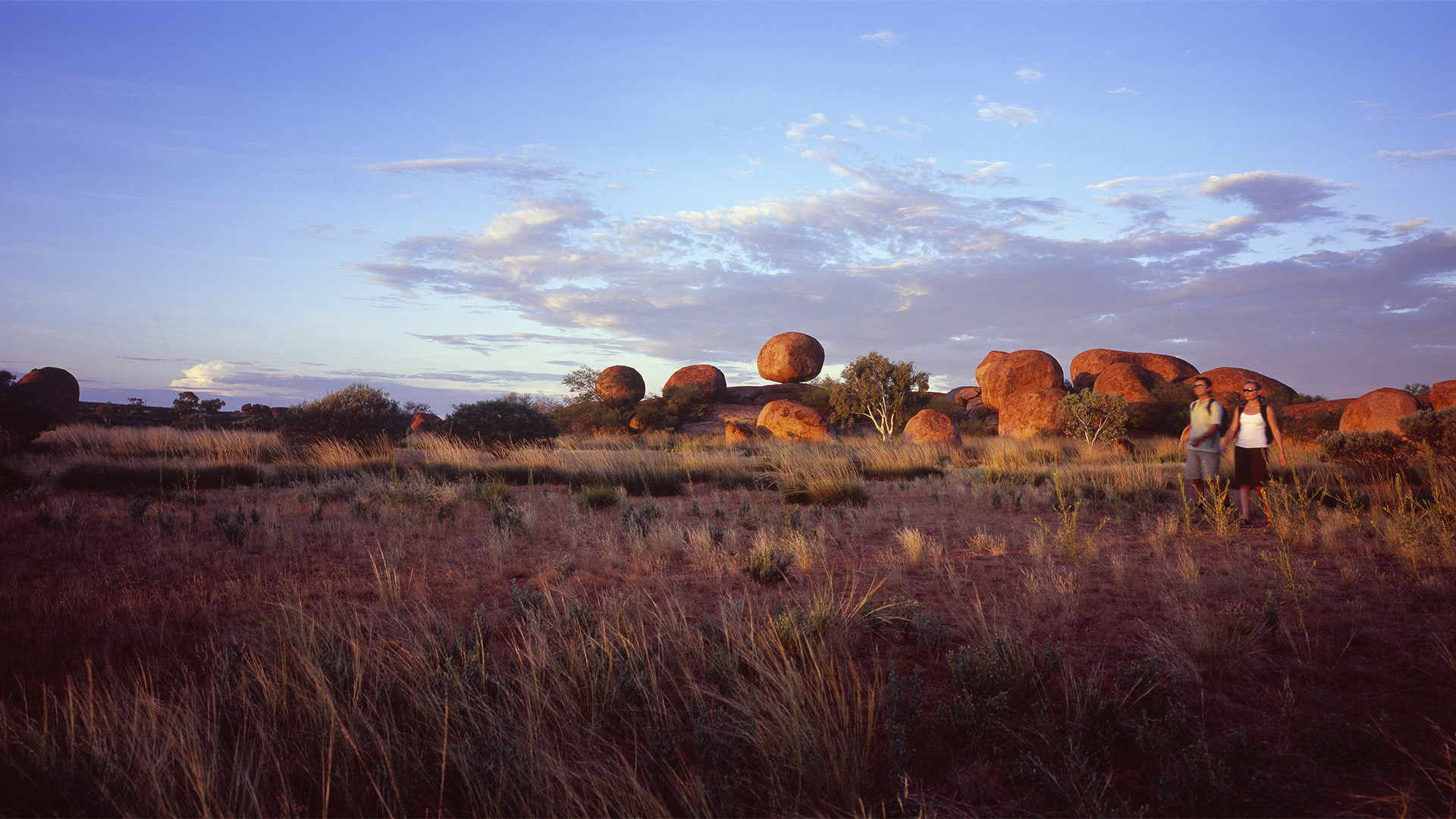 Frequently Asked Questions | Cobber (Formerly ResPax | Livn | ResBook)